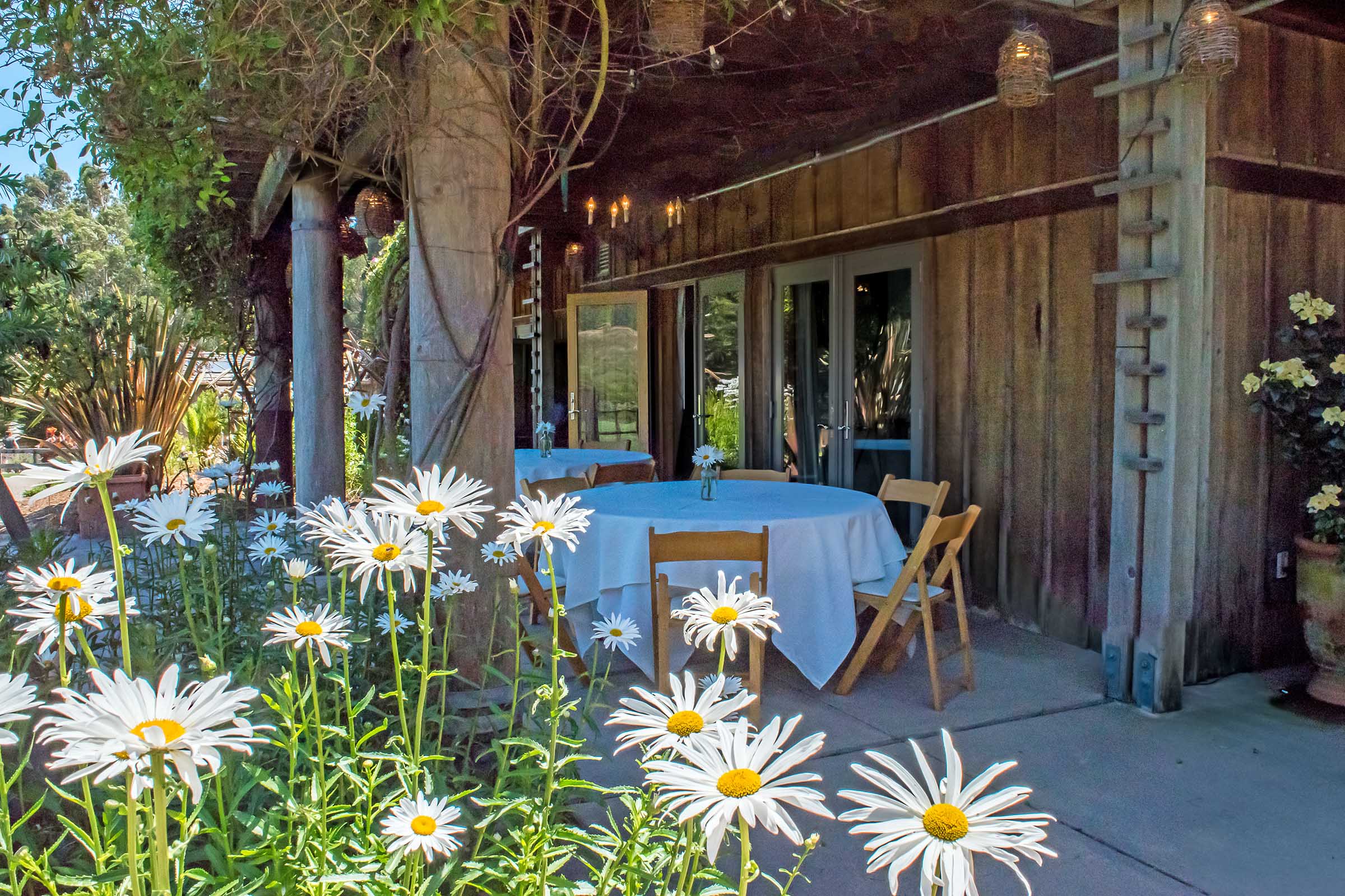 Eco adventures, glamping & lodging at Costanoa